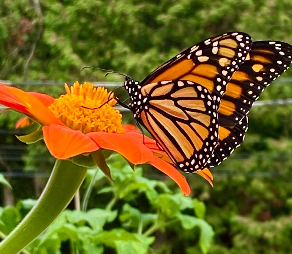 167: A Path to Meaningful Conversations - John Certalic